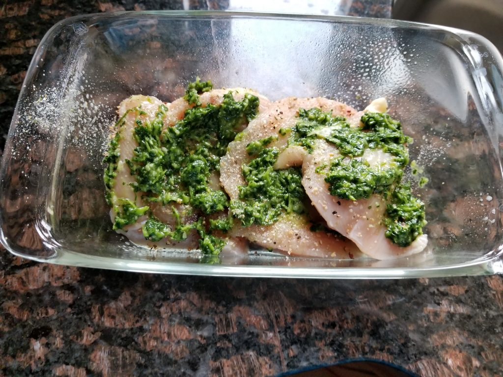 Cilantro Chicken Fresco – Redefining Domesticated